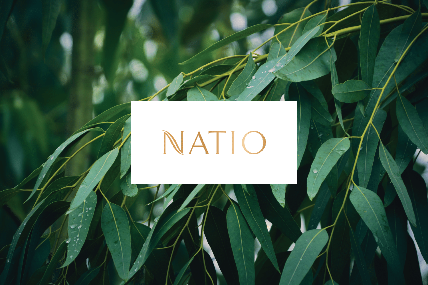 Case Study - NATIO - Red Squared